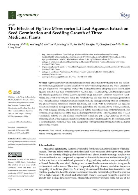 Pdf The Effects Of Fig Tree Ficus Carica L Leaf Aqueous Extract On Seed Germination And