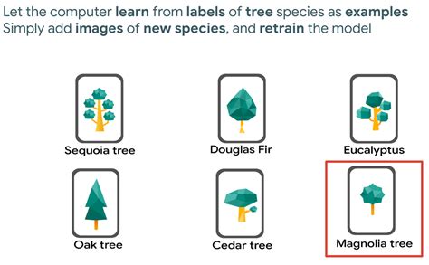 Intro To Deep Learning To Track Deforestation In Supply Chains Google Cloud Blog