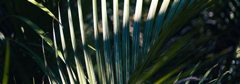 Data Sovereignty The Stream Ltd