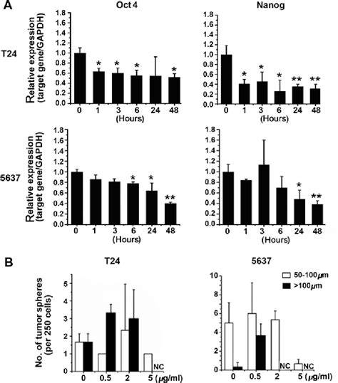 Figure 2 From The Combinatory Effects Of Ppar γ Agonist And Survivin