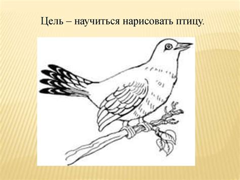 Учимся рисовать птицу презентация онлайн