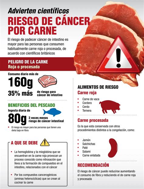 Carnes Procesadas Y Cáncer Lo Que Dice La Oms Carnicería Moderna