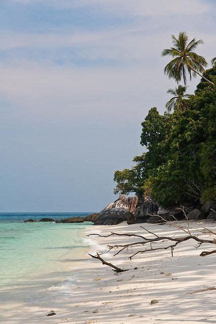 43 Best Tioman Island Images On Pinterest Tioman Island Malaysia And