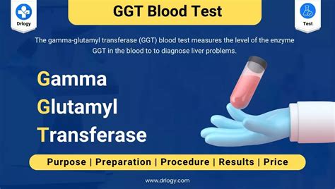GGT Blood Test For Liver Diseases Drlogy Test Price Result Normal Range