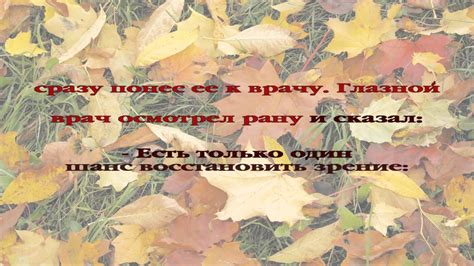 Вечерние рассказы для детей. История 063 - YouTube