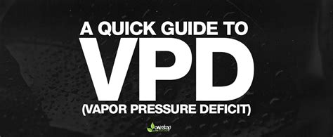 A Quick Guide To Vpd Vapor Pressure Deficit