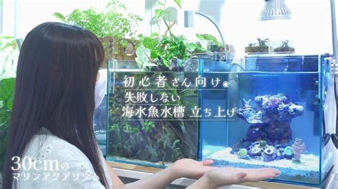 30cmの小型水槽で失敗しない 初心者さん向け海水魚水槽立ち上げ アクアリウム Marine Aquarium Aqualife