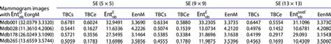 Quantitative Measure Of Enhancement Results For Different Structuring