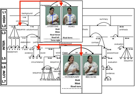 Mapping The Body To The Discourse Hierarchy In Sign Language Emergence Language And Cognition