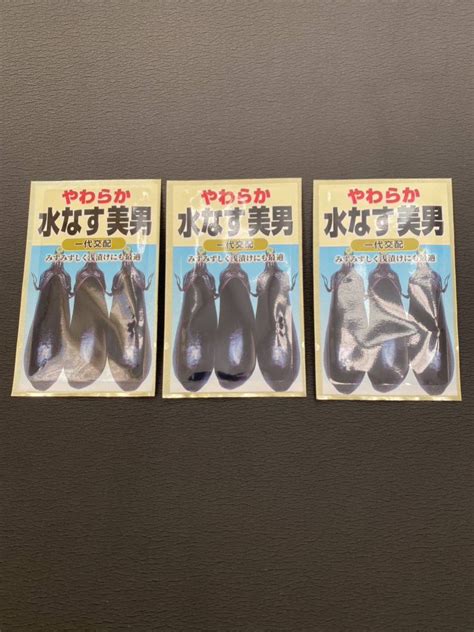 2024年入荷 ナス種タネ 野菜 家庭菜園 やわらか 美男 一代交配 3パックセット 種子 煮浸し 漬物 なすの1本漬け野菜｜売買された