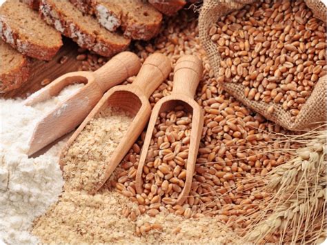 Услуги по сушке очистке затарке зерна и семян — Agroinvest