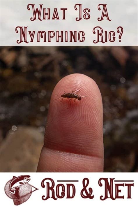 What Is A Nymphing Rig Rod And Net