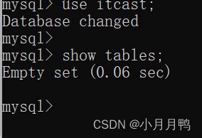 SQL语句四种分类之一DDL ddl sql CSDN博客