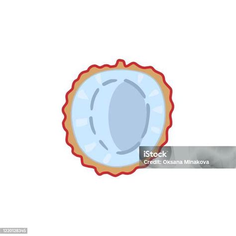 手繪明亮的顏色圖示的蘆薈水果隔離在白色背景甜的熱帶水果簡單的最小平面風格標誌設計向量圖向量圖形及更多亞洲圖片 亞洲 健康飲食 剪裁圖