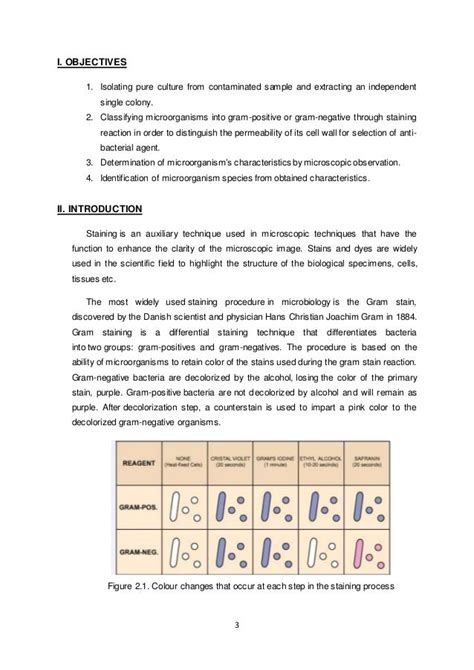 Microbiology Lab Reports Microbiology Writing Guide Lab Report Format