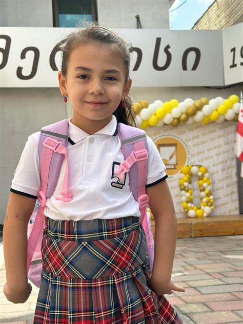 სკოლა მერმისი