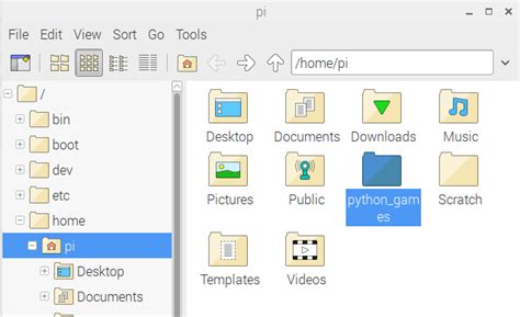Hacking The Python Games On Your Raspberry Pi By Eileen King Medium
