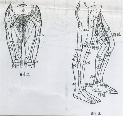 15、按摩抓龍 穴道、經絡、acupuncture Study Udn部落格
