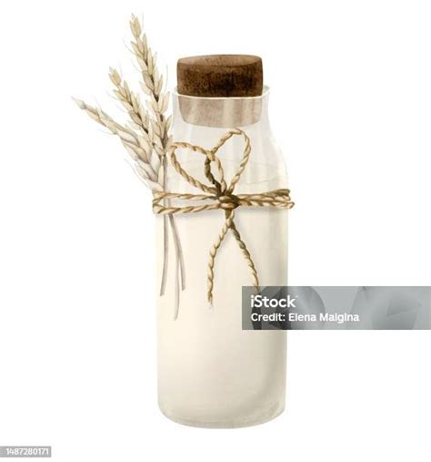 밧줄 활과 밀 귀로 장식된 수채화 유리 우유병 흰색 배경에 분리된 귀리 그림 손으로 그린 Shavuot 기호입니다 농장 생활