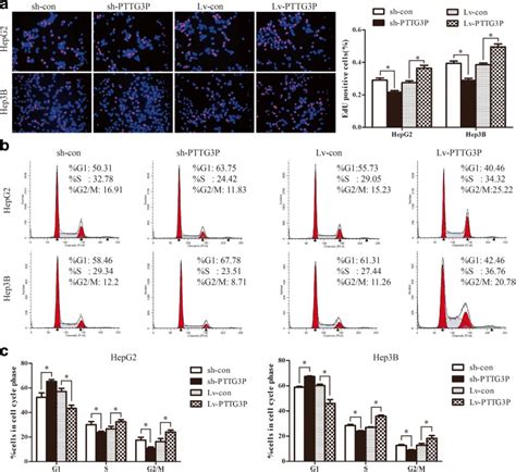 The Long Non Coding Rna Pttg3p Promotes Cell Growth And Metastasis Via