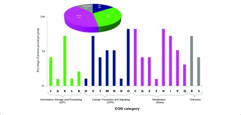 Functional Clusters Of Orthologous Groups Cog Classification Of The Download Scientific