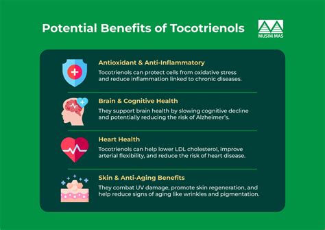 Vitamin E From Palm Oil Tocotrienol Benefits And Why It Matters