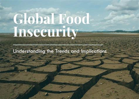 Understanding The Global Rise In Acute Food Insecurity Trends And