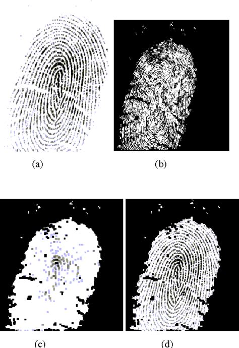 Figure 11 From Correlation Based Fingerprint Image Segmentation