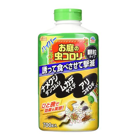 ダンゴムシの飼い方と足の数が14本に秘められた驚愕の秘密 昆虫バイブル