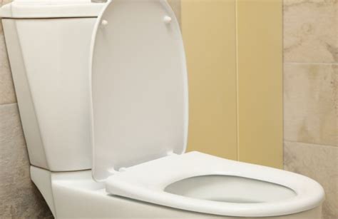 Scarico Del Wc Lento E Ostruito Come Risolvere Il Problema