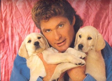 Just David Hasselhoff With Some Puppies Vintage News Daily