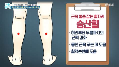 기분 좋은 날 근육 통증 잡는 면역 강화 혈자리