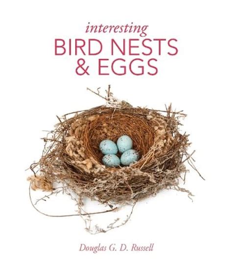 Interesting Bird Nests And Eggs Nhbs Good Reads