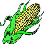 Los vegetales en inglés Ficha resumen