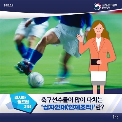 러시아 월드컵 기념 축구선수들이 많이 다치는 십자인대인체조직란 카드뉴스 홍보자료 알림·자료 질병관리청