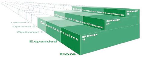 Figure 11 From Kenya Stepwise Survey For Non Communicable Diseases Risk Factors 2015 Report
