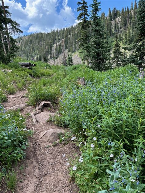 Crag Crest Run 2024 Mesa Monument Striders Running Club