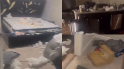 Cum s a răzbunat o femeie pe iubitul ei după ce n a primit cadou de