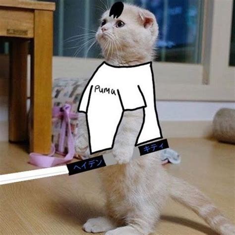 Al5grjurvqgfz3oafgfjttqvllorxxlt2a8s Rp2iuml S900 C K C0x00ffffff No Rj