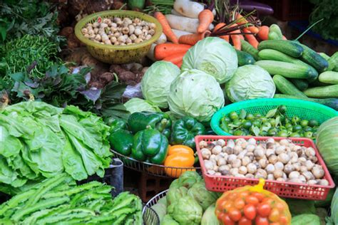 အစိမ်းရောင်လမ်း ဟင်းသီးဟင်းရွက် အမျိုးအစားခွဲခြားခြင်း