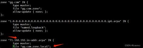 Dns之bind配置命令bind 编辑数据配置文件 Csdn博客