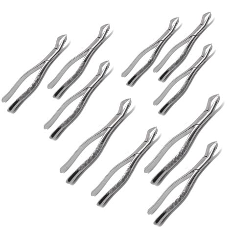 G S 10 Pcs Dental Extracting Forcep 88r Molar Tooth Extraction Stainless Steel