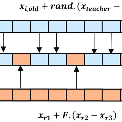 Diversity Enhanced Teaching Strategy Download Scientific Diagram