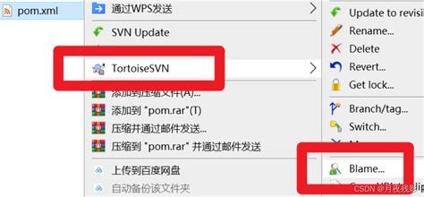 Svn相关操作svn的cleanup勾选哪些选项 Csdn博客