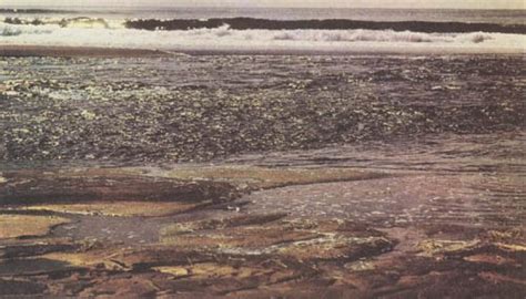 დაბინძურებული წყლის პრობლემა