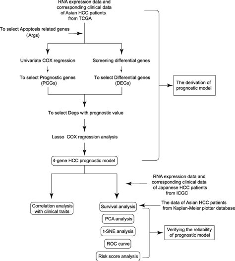 flow chart of data collection and analysis download scientific diagram