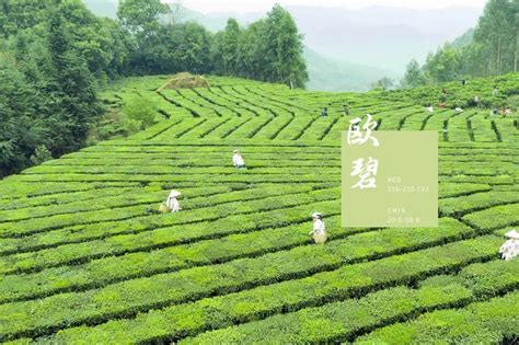 赏梧州美景，寻找最美的中国传统色