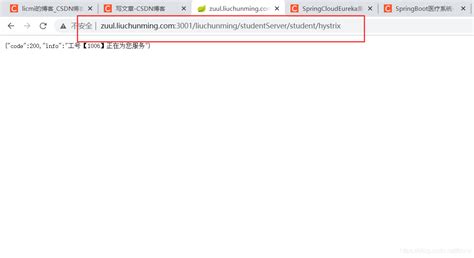 Zuul路由网关（zuul路由映射配置请求过滤配置）licmi的博客 Csdn博客