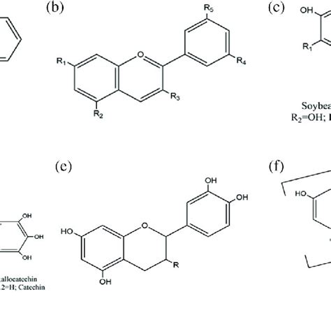 The Basic Structure Diagrams Of The Main Polyphenol In Plants A