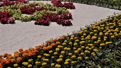 Premium Photo Flower Garden With Patterns Of Planted Decorative